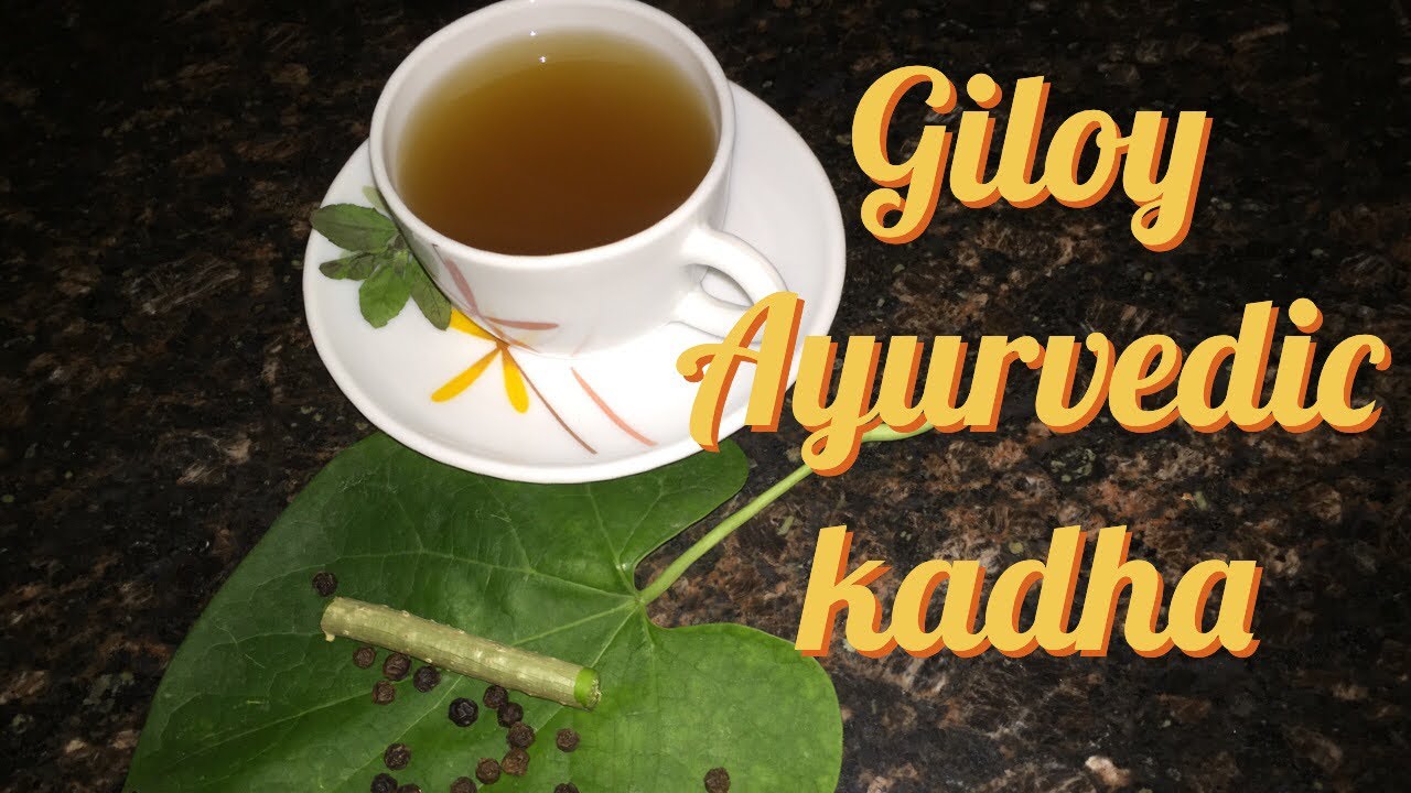 Giloy Ayurvedic Drink | Giloy Medicinal Tea | Immune Booster | Giloy ka ...
