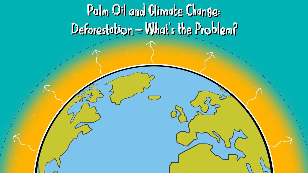 Palm Oil and Climate Change: Deforestation – What’s the Problem? - YouTube