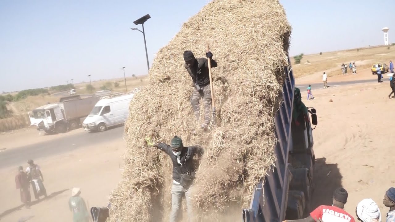 Ndasyan Thiey KhelCom🔴 Temps forts mbathioum Guérté khelCom 2023 wa keur Serigne Cheikh Saliou ...