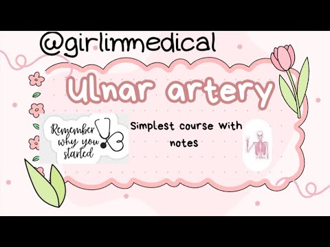 Ulnar artery | simplest course with notes🩺 - YouTube