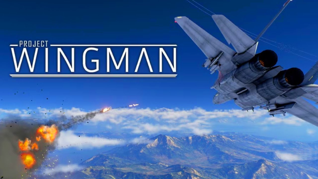 PROJECT WINGMAN / First Time Playing! New Year Stream! / FOX 2 (31/12 ...