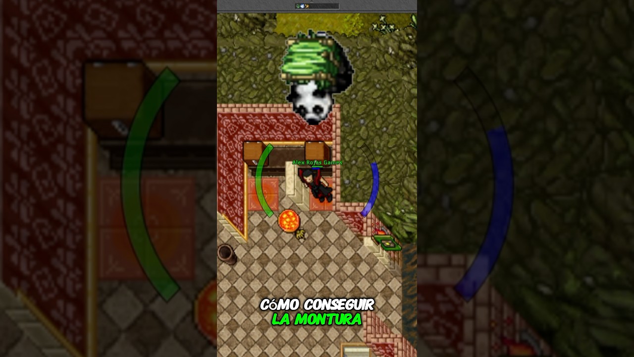 Cómo conseguir la montura del panda en #Tibia #short - YouTube
