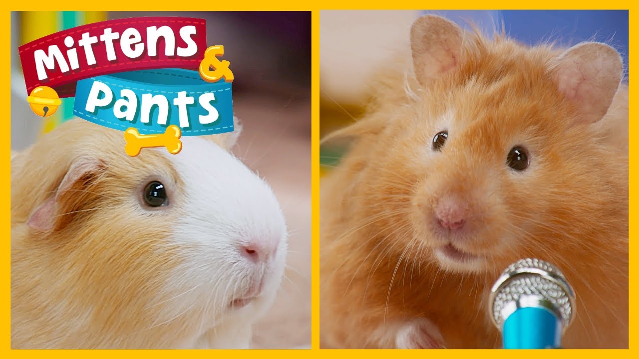 Dr Squignums 🎬 Behind the Scenes | Mittens & Pants - YouTube