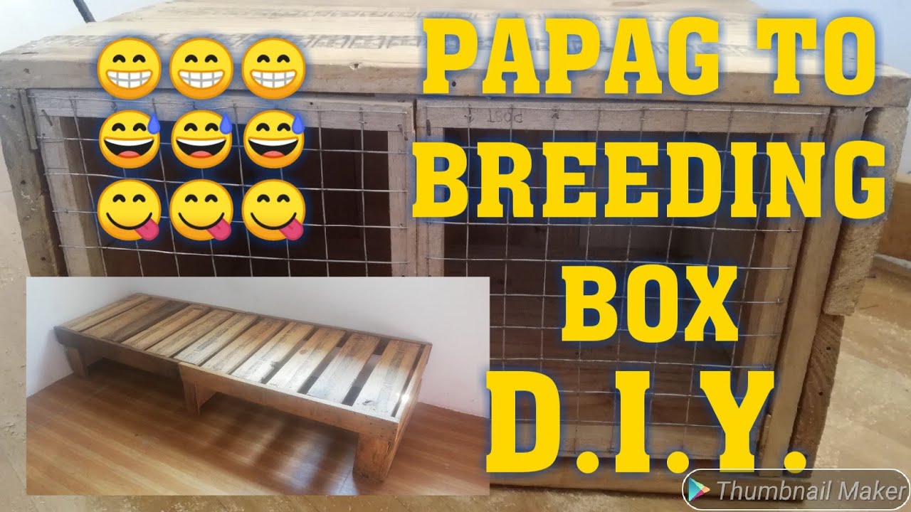 Gumawa tayo ng Breeding Box ng Kalapati. - YouTube