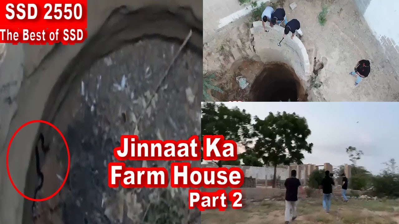 SSD 2550 | Jinnaat Ka Farm House | Part 2 - YouTube