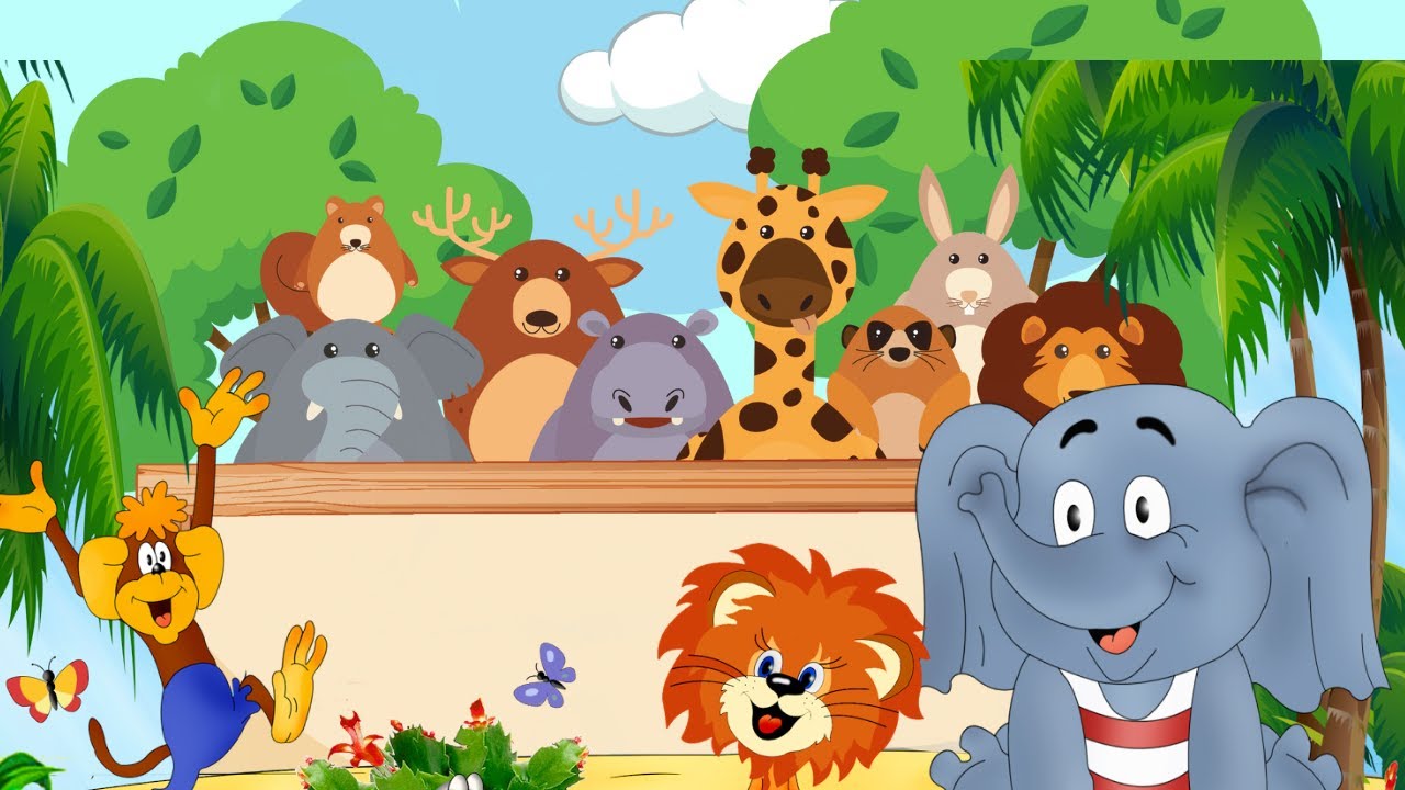 Animals At The Zoo | Learning About Zoo Animals | Animals change shape ...