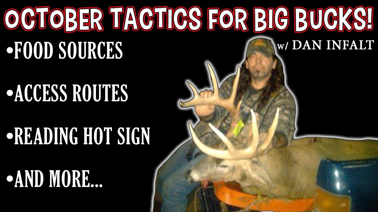 Dan Infalt Podcast | October Tactics to Cull the Lull | Episode 27 ...