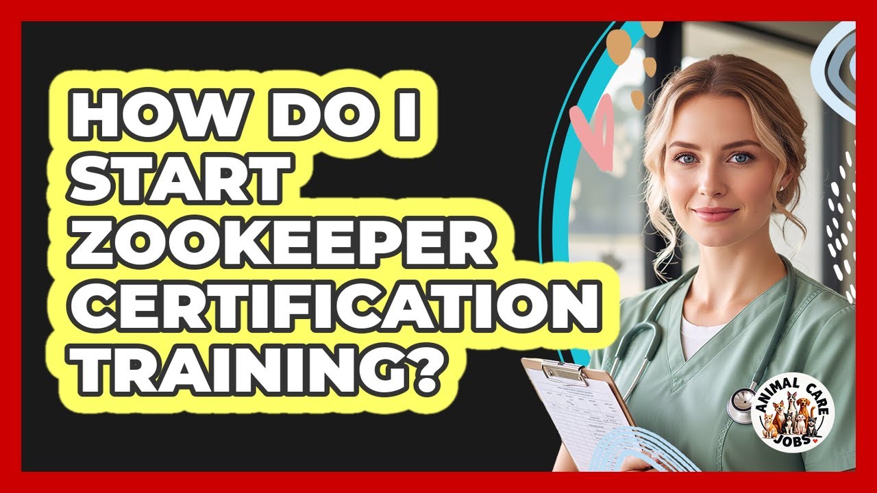 How Do I Start Zookeeper Certification Training? - YouTube