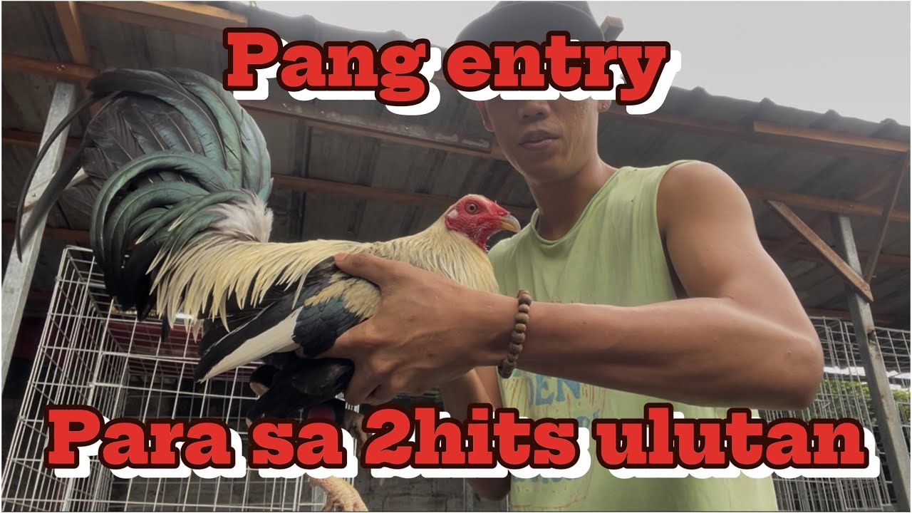 Ito ang Gagamitin natin para sa 2hits ulutan - YouTube