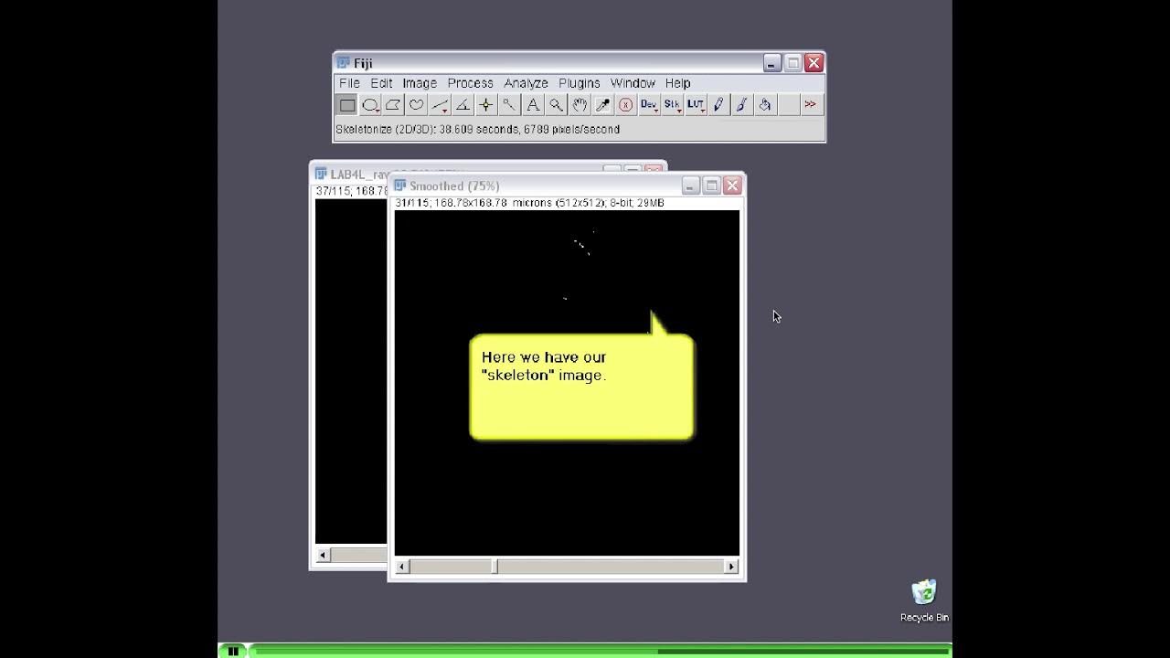 Skeleton Analysis Tutorial - YouTube