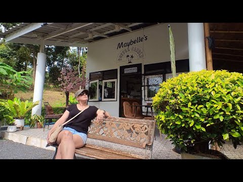 Maybelle's Coffee Garden Karon - Phuket - YouTube