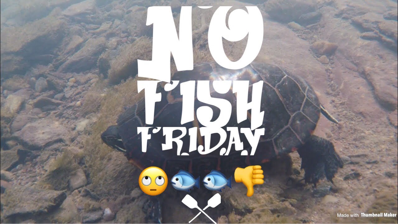 When you don’t catch any fish on your fishing trip... - YouTube