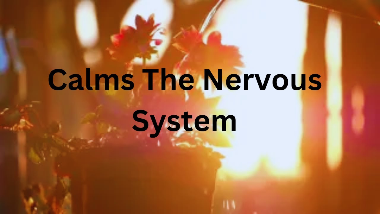 ASMR Gentle music | calms the nervous system | soul - healing music for ...