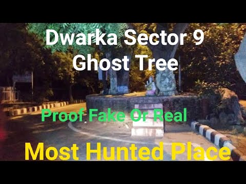 Dwarka Sector 9 Ghost Tree | India Most Popular Hunting places | Real ...