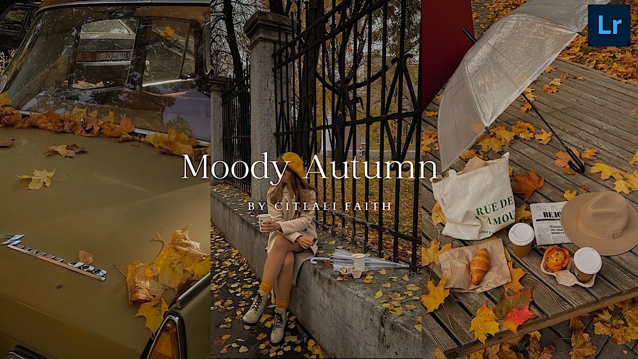 Moody Autumn Preset Lightroom Mobile Editing - YouTube