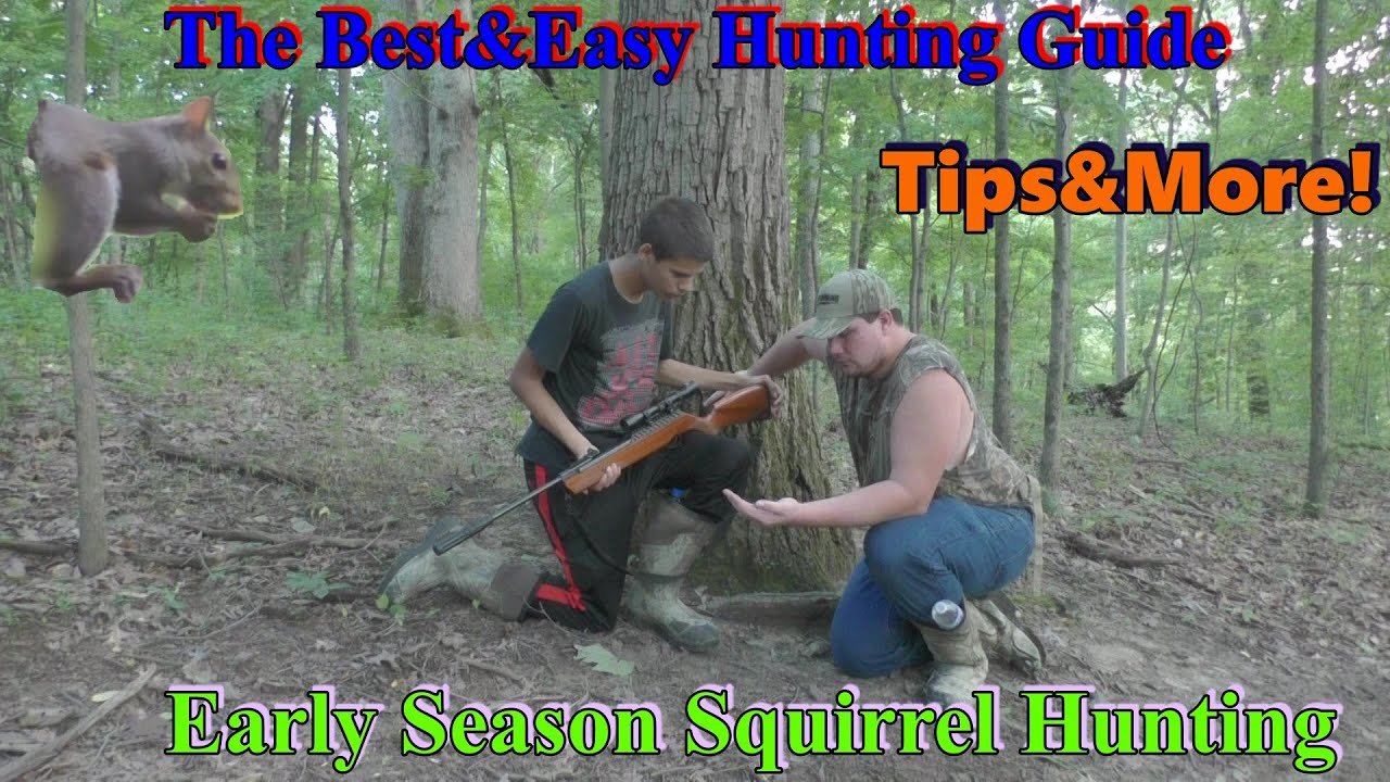 Best Squirrel Hunting Guide For New And Experienced Hunters! Early ...