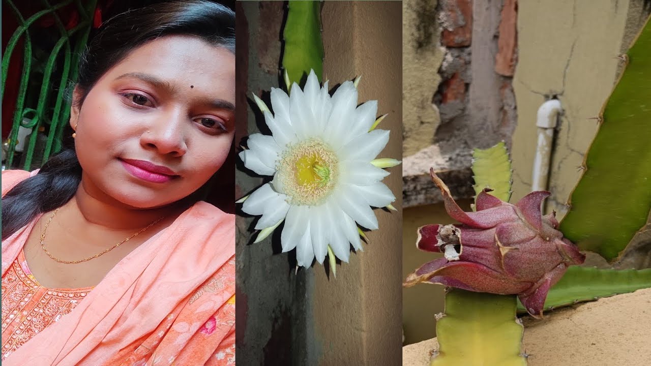 সর্বনাশ " 😟 বিপদের ওপর বিপদ 😟 " || sorbonash bipoder oper bipod || # ...