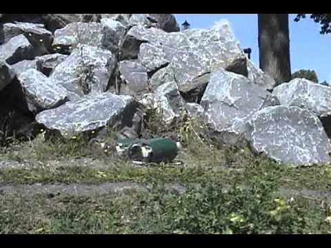 RHex Robot - YouTube