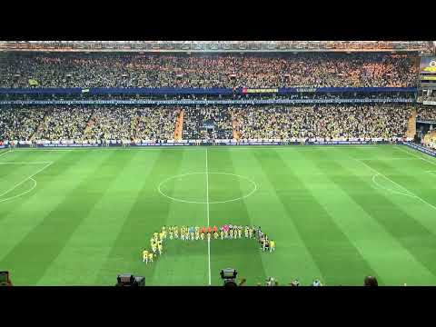 Fenerbahçe - Lugano 30.07.2024