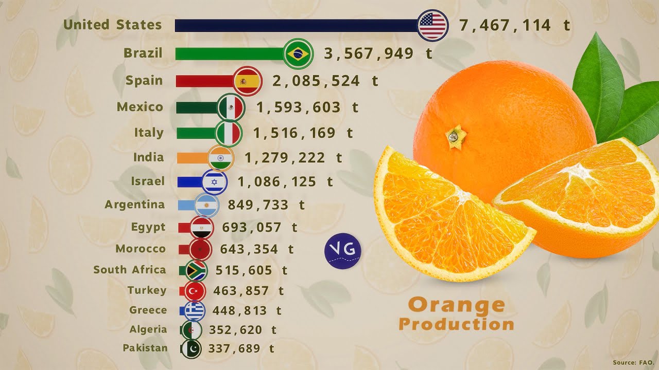 The Countries that Produce the Most Oranges in the World - YouTube