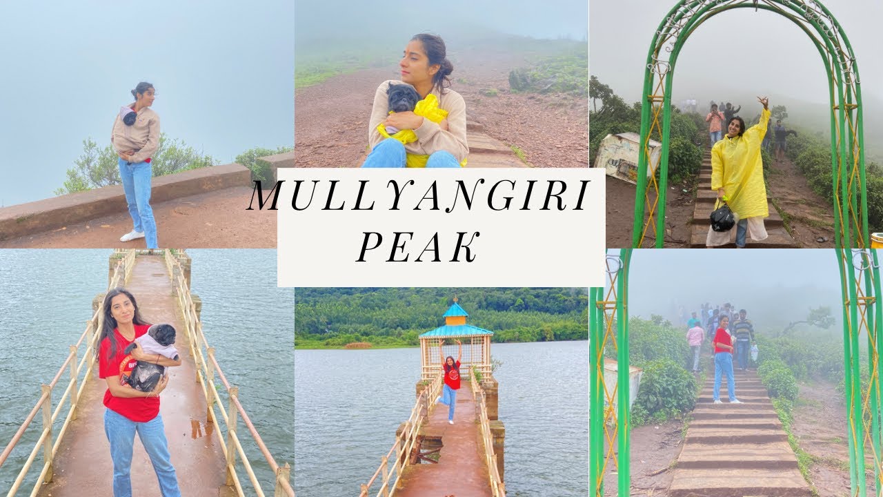 Episode-18 || Mullyangiri highest peak point of karnataka 🫰🏻🦋 ...