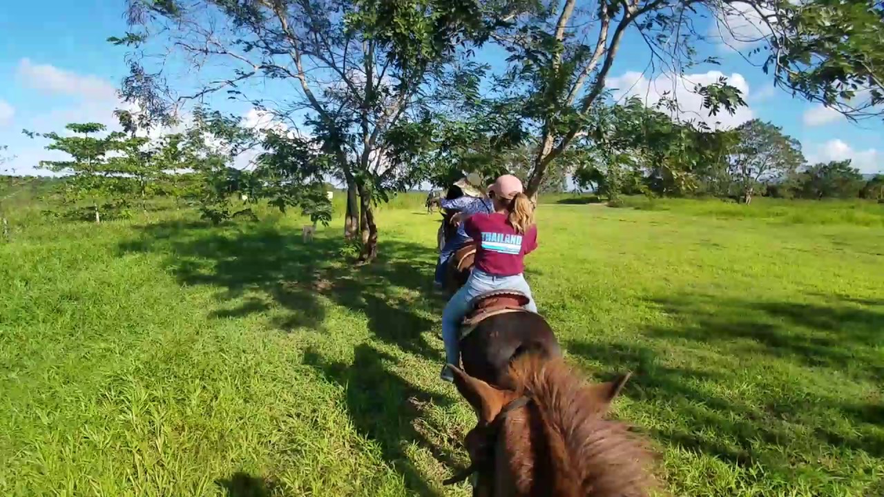 Horseback Riding in Hacienda Campo Rico - YouTube