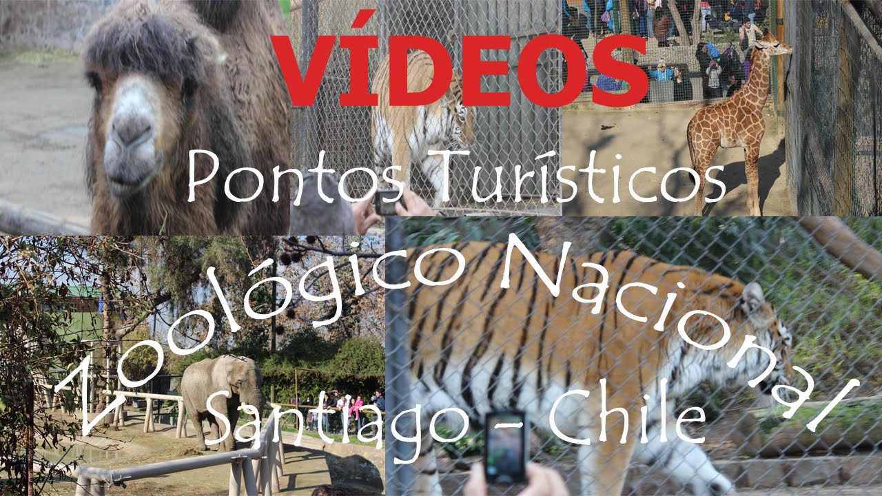 Visitando o Zoológico Nacional do Chile - Visiting the National Zoo of ...