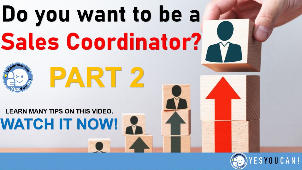 PROMODISER TO SALES COORDINATOR PART 2 - YouTube