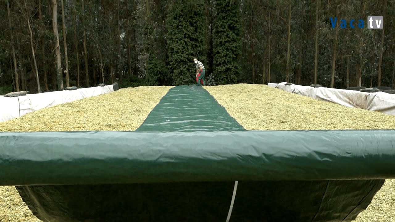 All-In-One Silage Sheet - OXY SEAL™ - On Spanish Silage Clamp - YouTube
