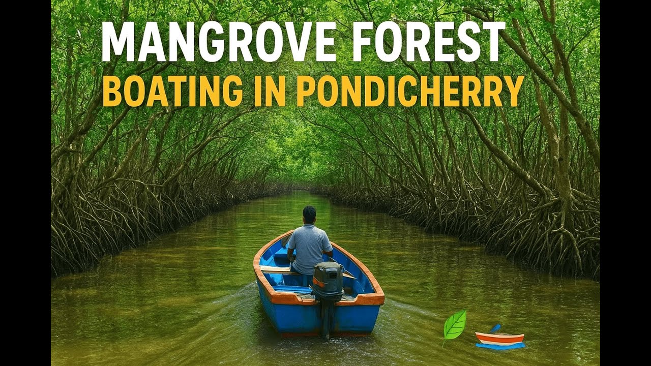 “Mangrove Forest Boating in Pondicherry | Hidden Paradise of Nature 🌿🚤 ...