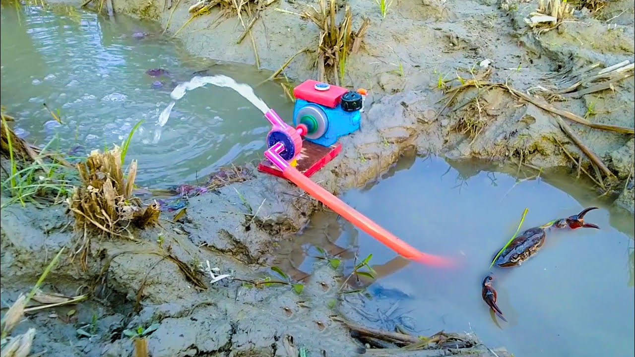 Crab Catching In Field, Using A Homemade Mini Water Pump - YouTube