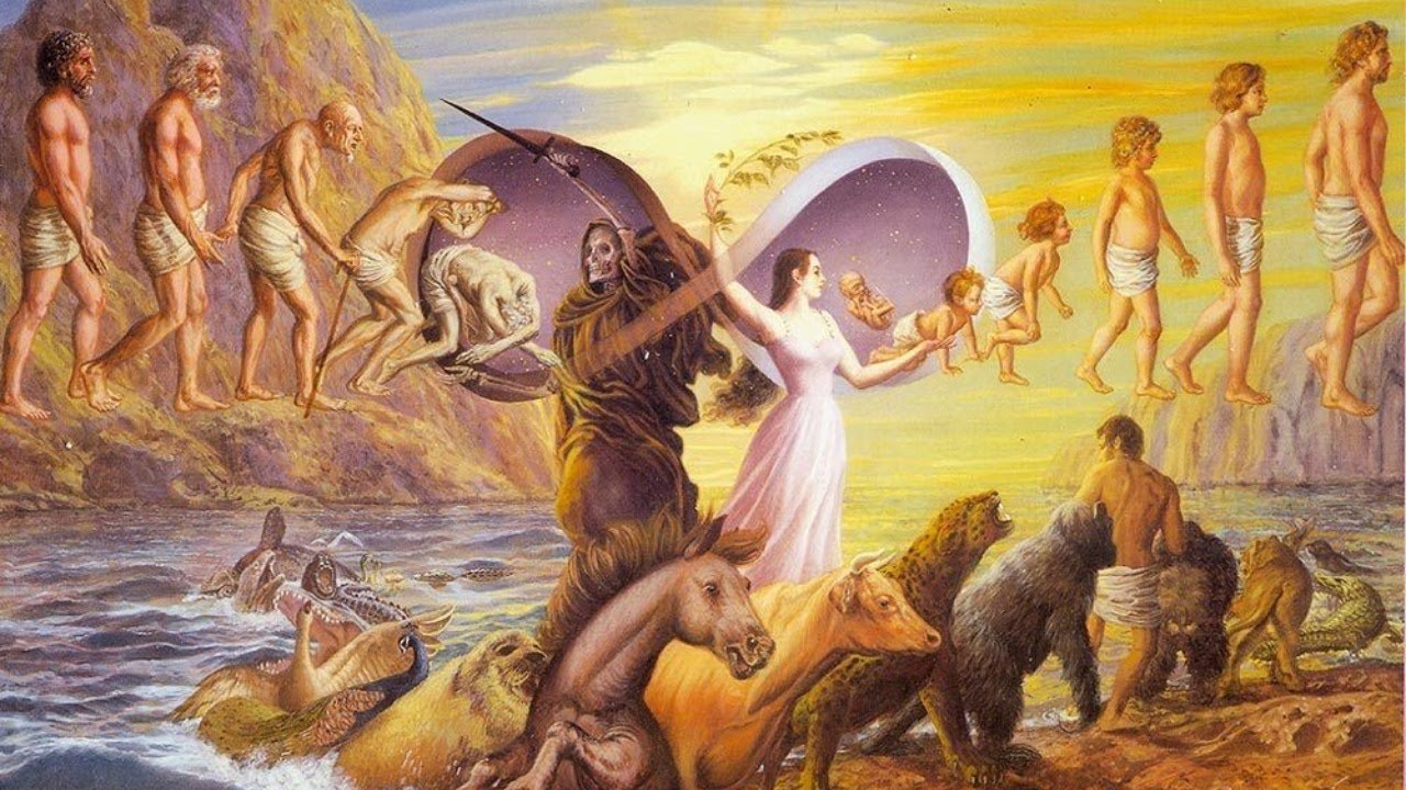 Lección #13 EVOLUCIÓN, INVOLUCIÓN Y REVOLUCIÓN - YouTube