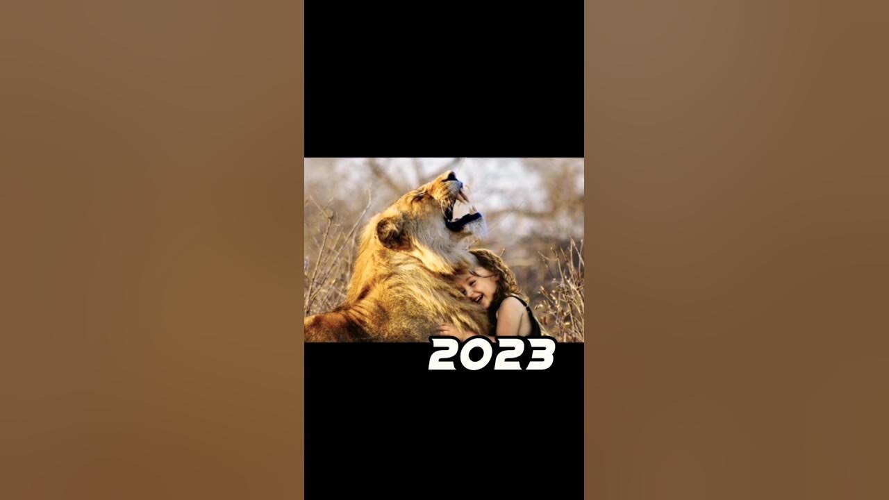 2023 lion 🦁 vs 5000 bce lion 💥#viral #shorts - YouTube