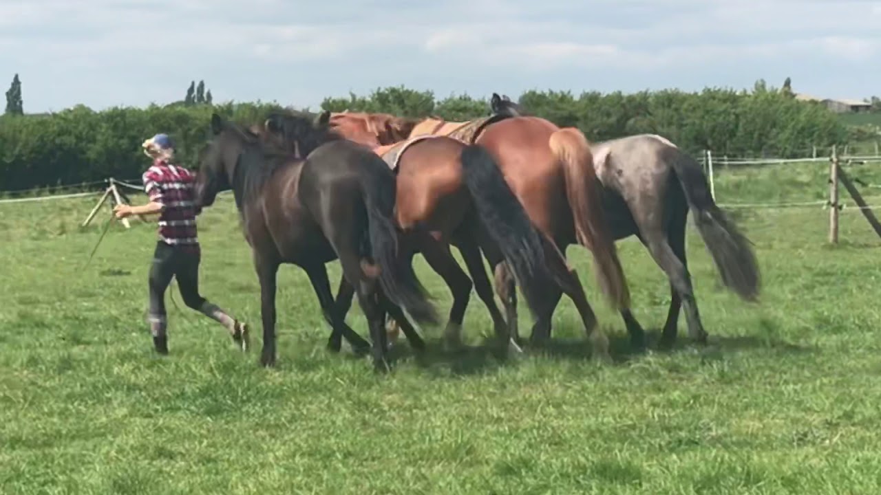 Liberty Team and First Roman Ride - YouTube