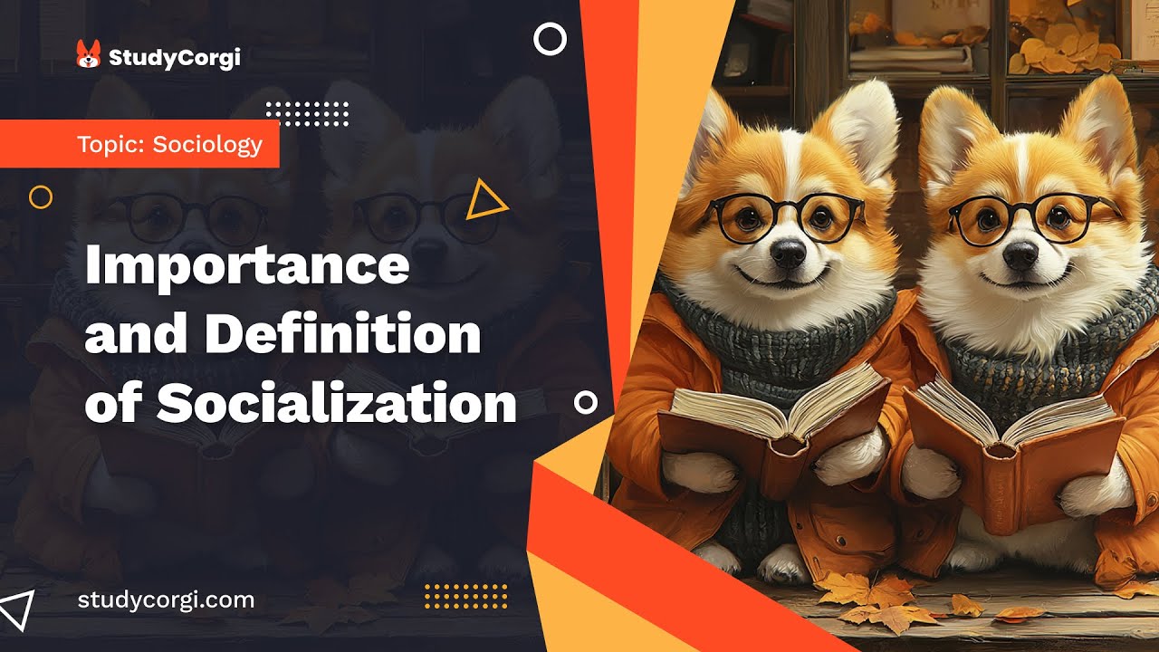 Importance and Definition of Socialization - Essay Example - YouTube