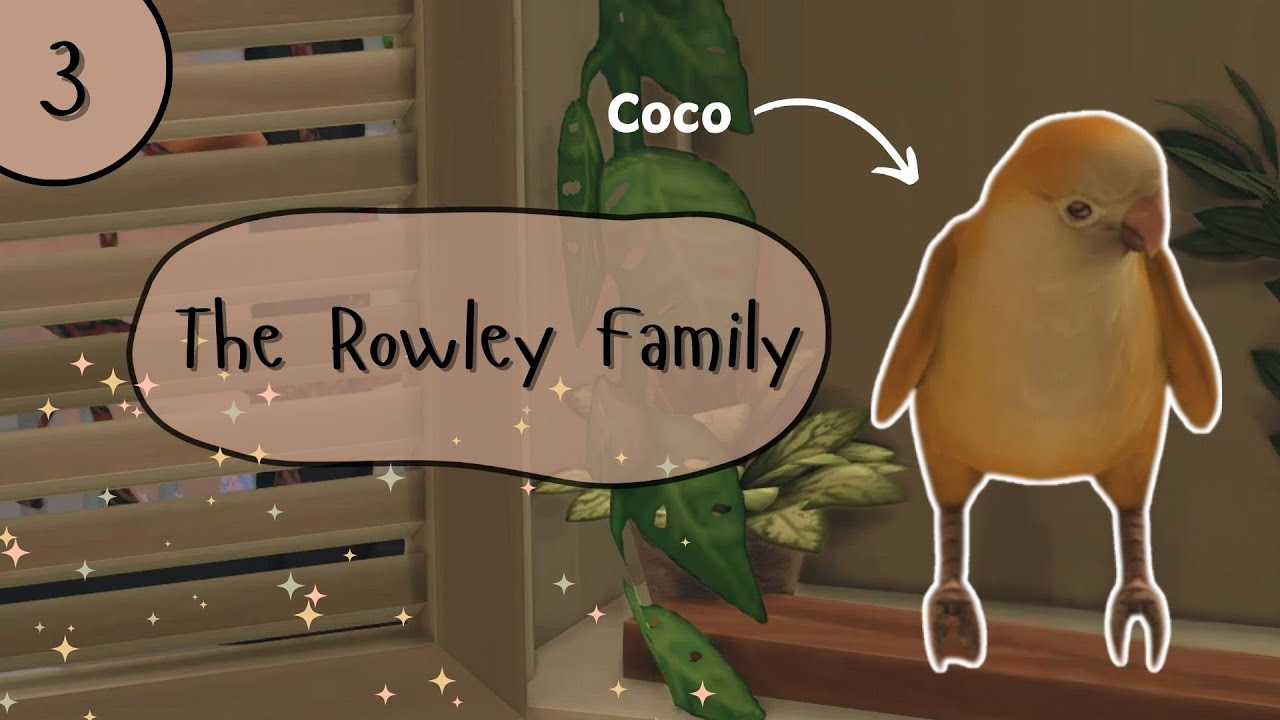 The Story of The Rowley Family | So Many Birthdays | Episode 3 - YouTube