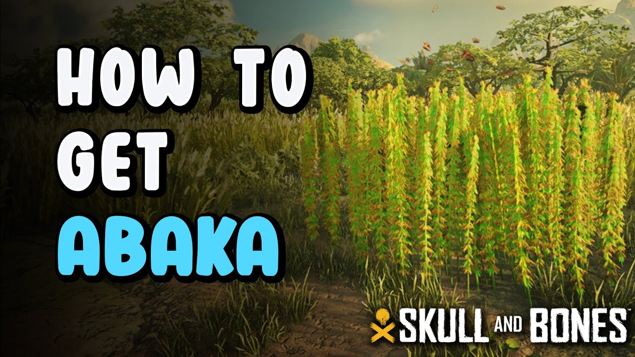 How to Get Abaka - Abaka Location | Skull & Bones - YouTube