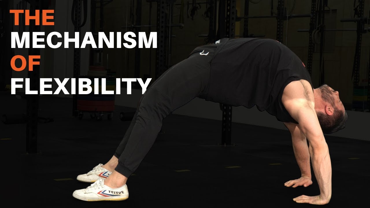 Here's How To Get Flexible Fast [Not Stretching] - YouTube
