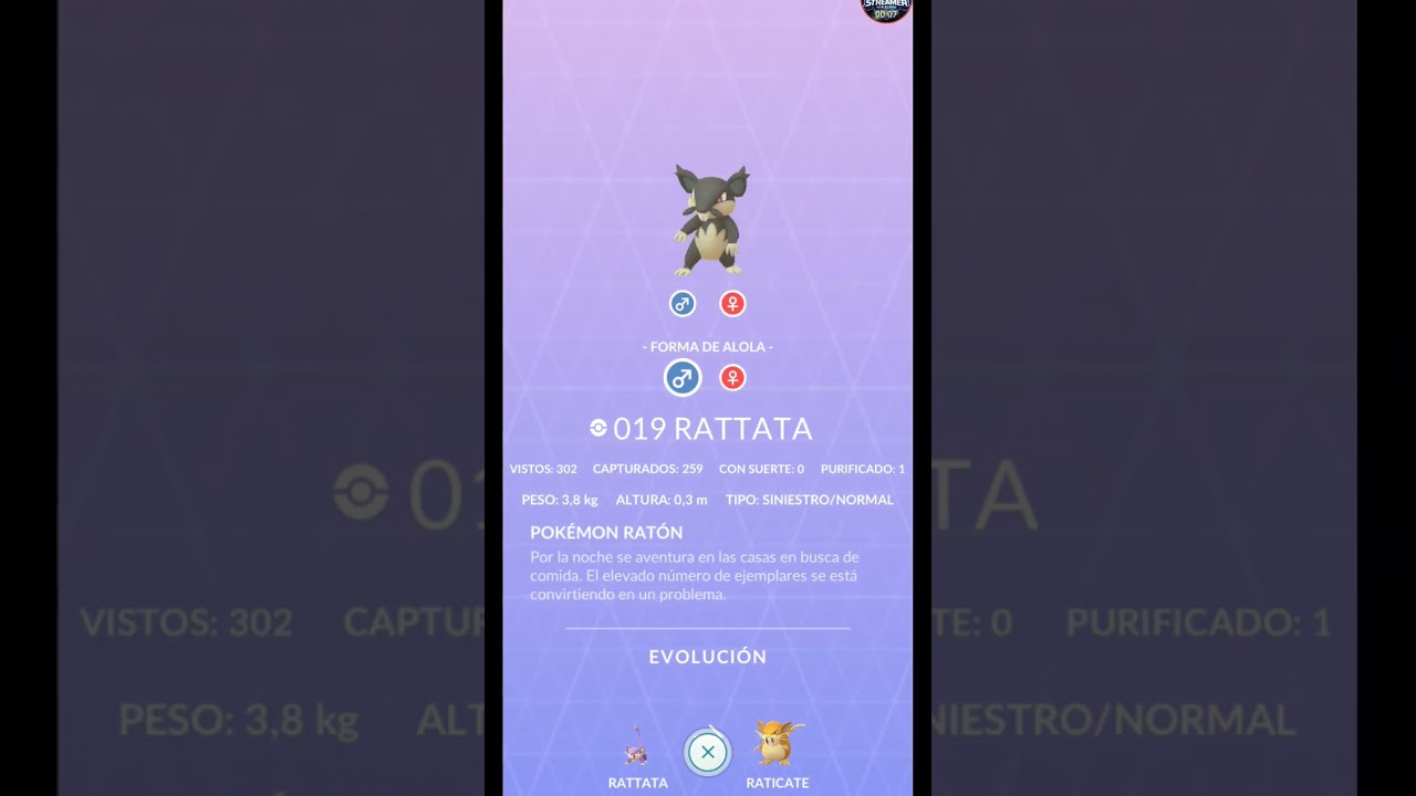 Pokédex 019 (RATTATA)(ALOLA). - YouTube