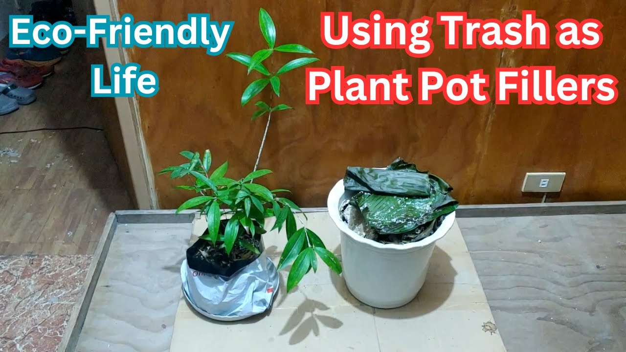 EFL Using Trash as Plant Pot Fillers Video - YouTube
