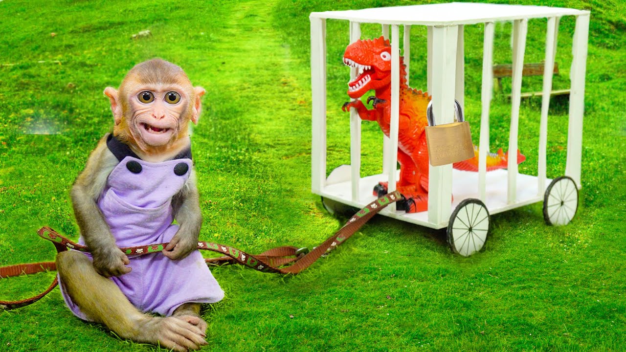 🙈Smart Monkey Bi Bon caught a fruit thief in the garden | Animal HT ...