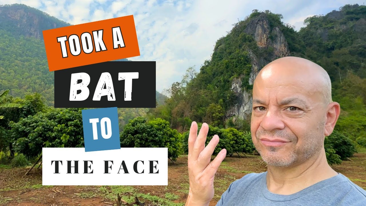 Took a Bat to the Face | Dealing with the Impact of a Cyclone - YouTube