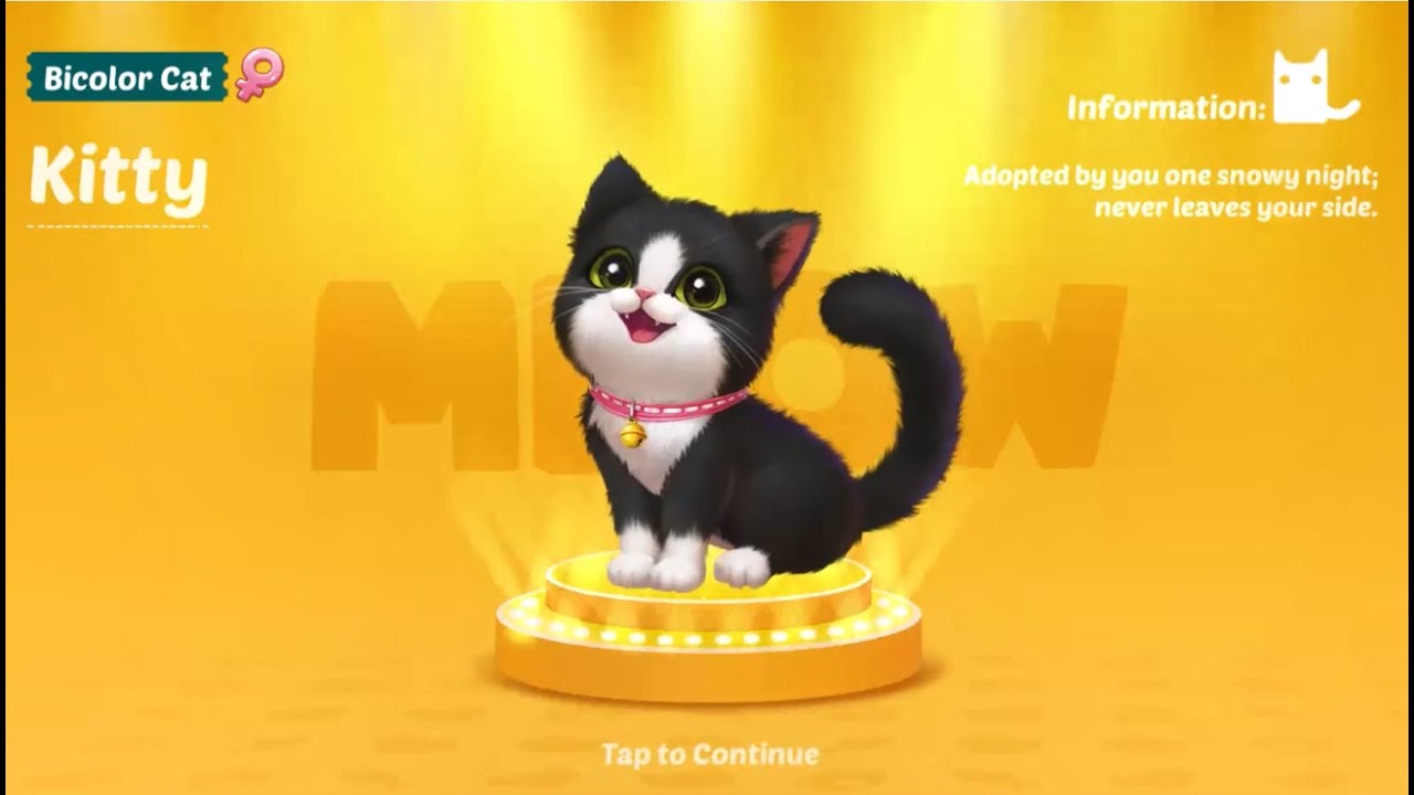 Main kucing - kucingan dari game kitten match, asli kucingnya lucu ...