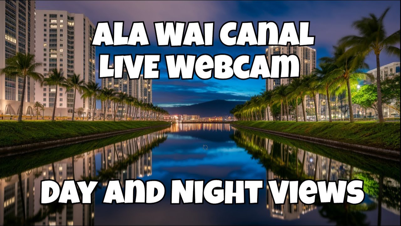 LIVE Cam View of the Ala Wai Canal - Wed, May 14, 2025 - YouTube