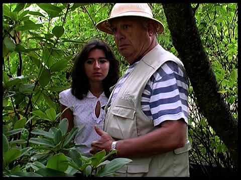 Il nipote di Tartarino