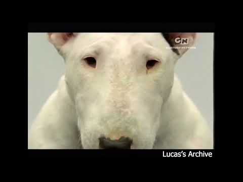 Cartoon Network UK   Continuity, Promos and Adverts June 2005 720p