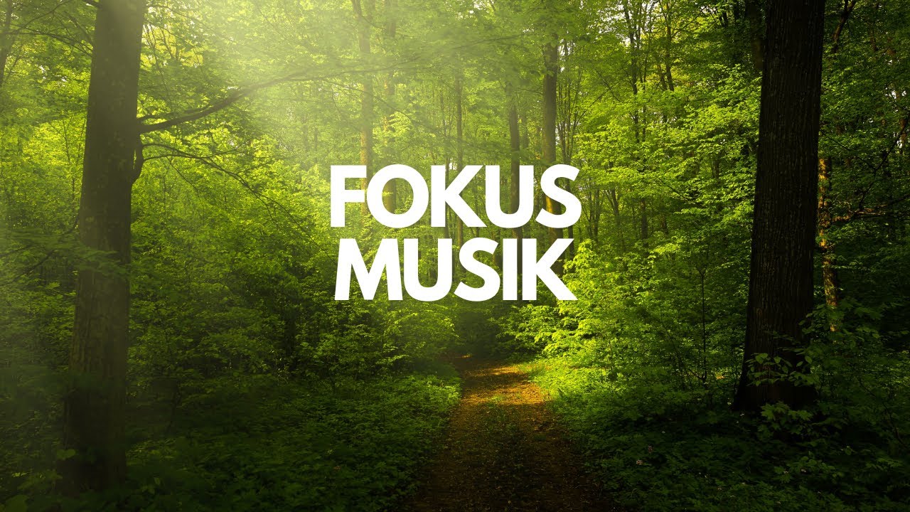 Study Music - 2 Stunden Fokusmusik zum Lernen, Konzentrieren und ...