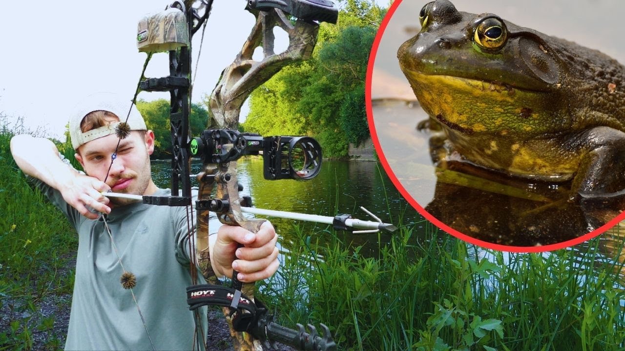 Frist Time Ever Bow Hunting Bullfrogs (There was PROBLEMS)!!! - YouTube