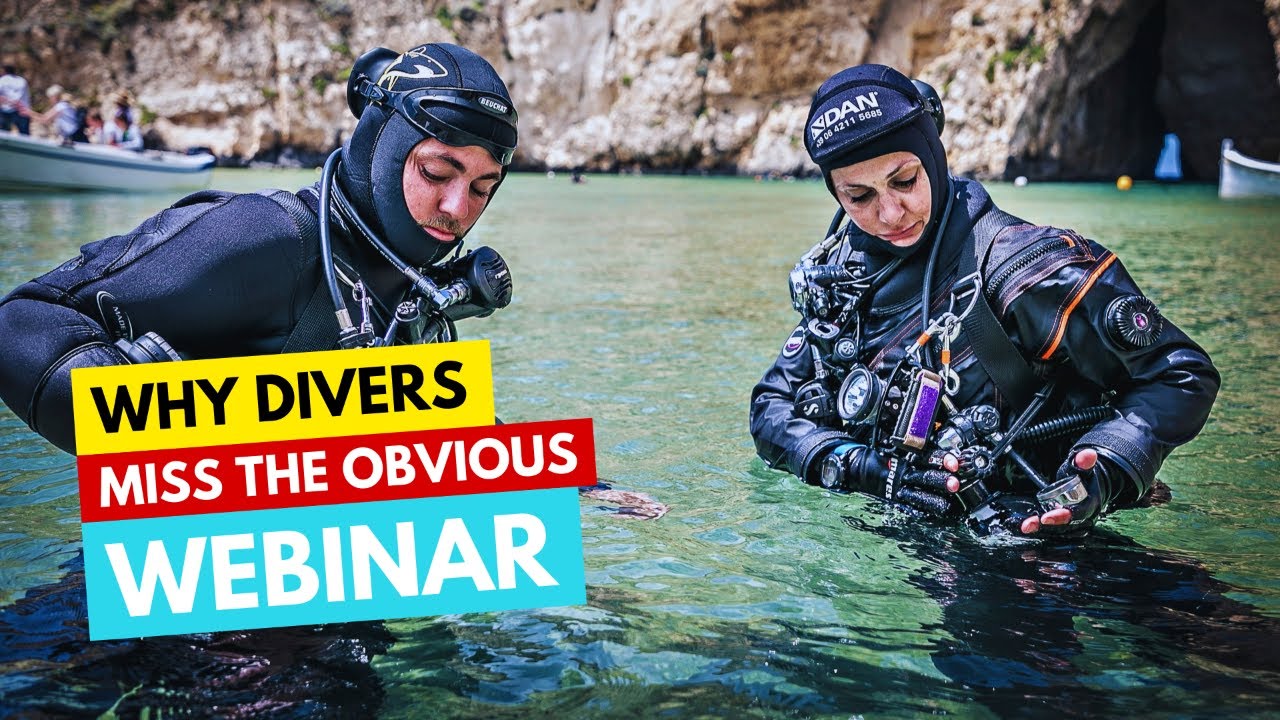 Why Divers Miss the Obvious - YouTube