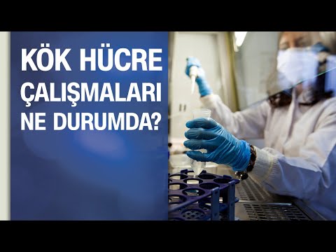 Kök hücre çalışmaları ne durumda? Prof. Dr. Kaan Aydos anlattı